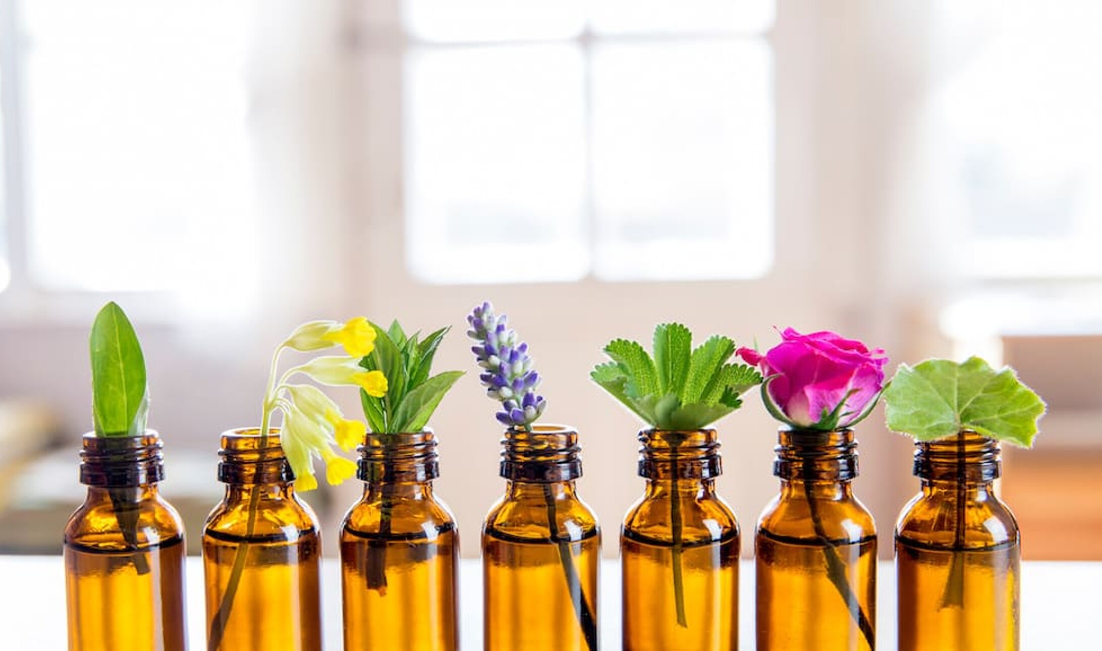 Essential Oils Guide: Benefits, Uses & Blends for Everyday Wellness